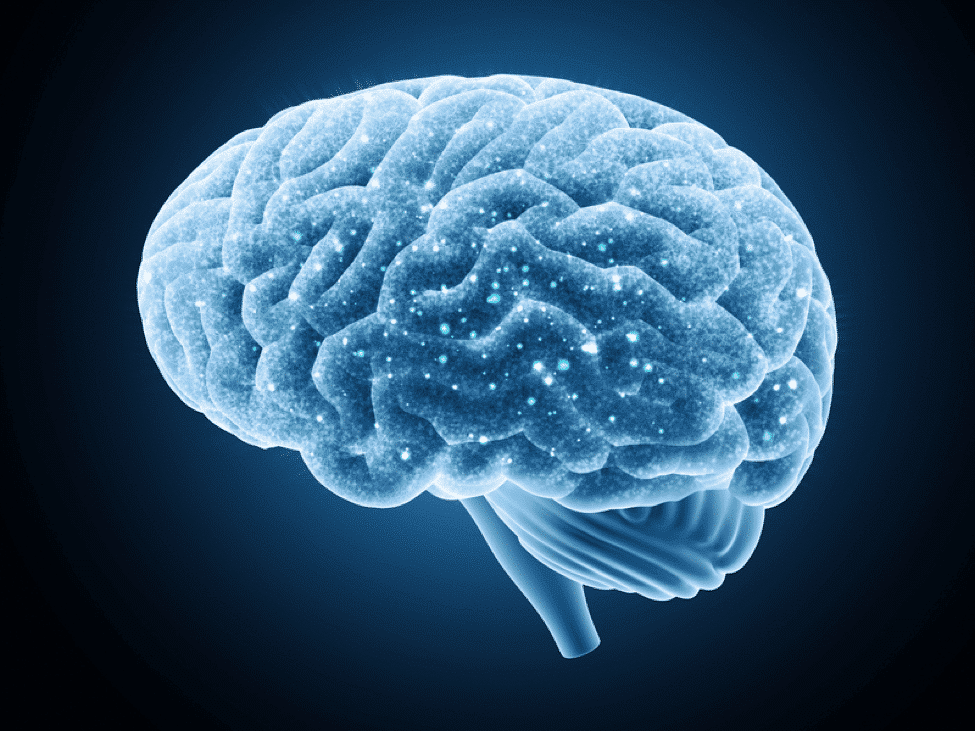 Homeostasis in Chiropractic Training | Sherman College of Chiropractic
